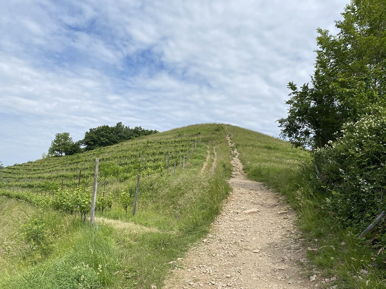 Le misteriose Piramidi di Montevecchia in Brianza: la guida per ...