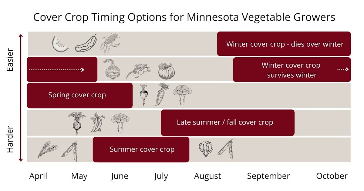 Scheduling cover crops into your rotation