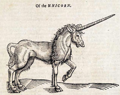 The Presurfer: The Natural History Of The Unicorn