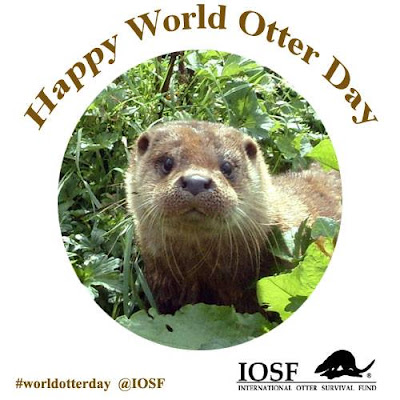 SS15 wildlife watching: Today is World Otter Day
