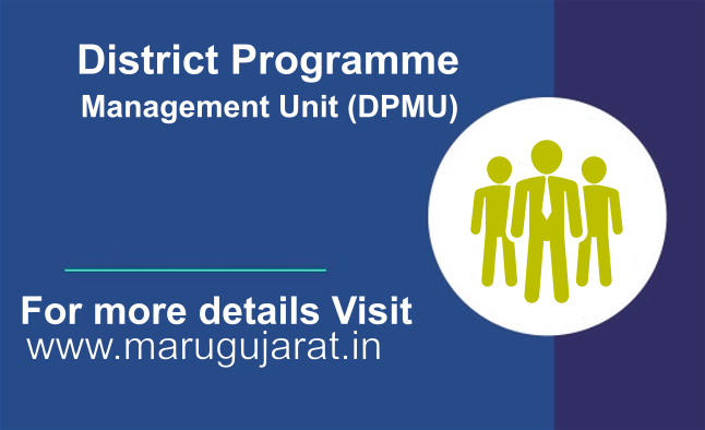 District Programme Management Unit, Gandhinagar Recruitment for Various ...