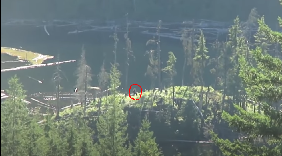 RMSO Bigfoot: Mission Sasquatch on Video Remote Mountains British Columbia