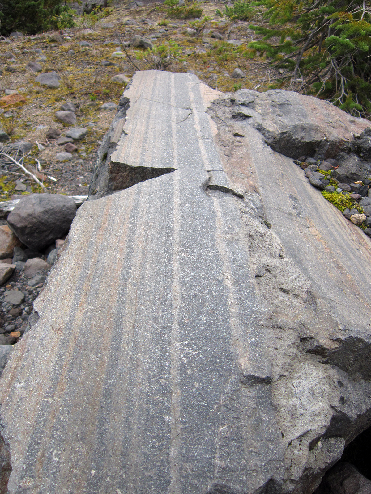Seeking Ultra: Pyramid Peak 6937', Mount Rainier National Park