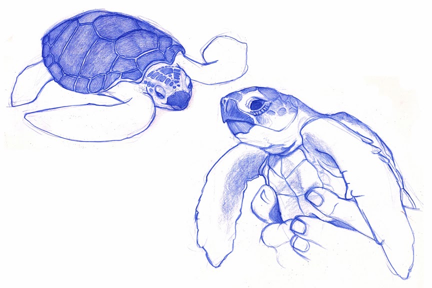 Jenn Johnson's Art Blog: Endangered Species