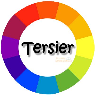 KELOMPOK PERPADUAN WARNA PADA DESIGN GRAFIS