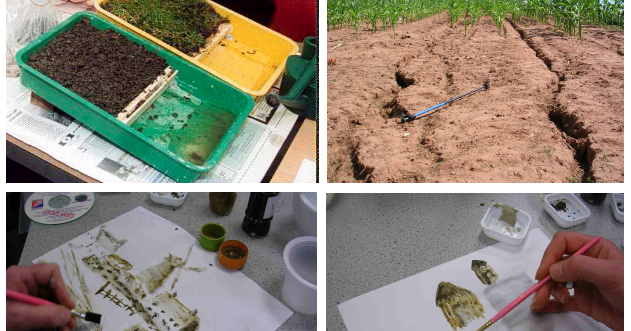 Earth Learning Idea: Soil erosion