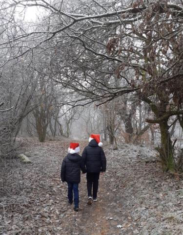 In Praise of Sauntering