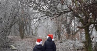 In Praise of Sauntering