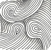 Enthusiastic Artist: My tangles