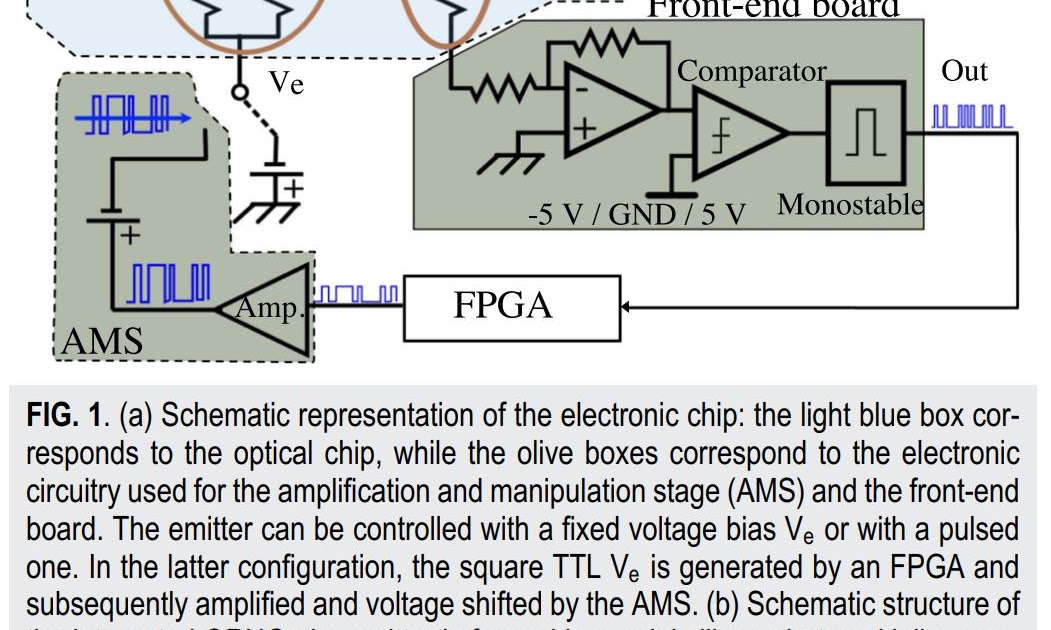 Image Sensors World: Optical Quantum Random Number Generator