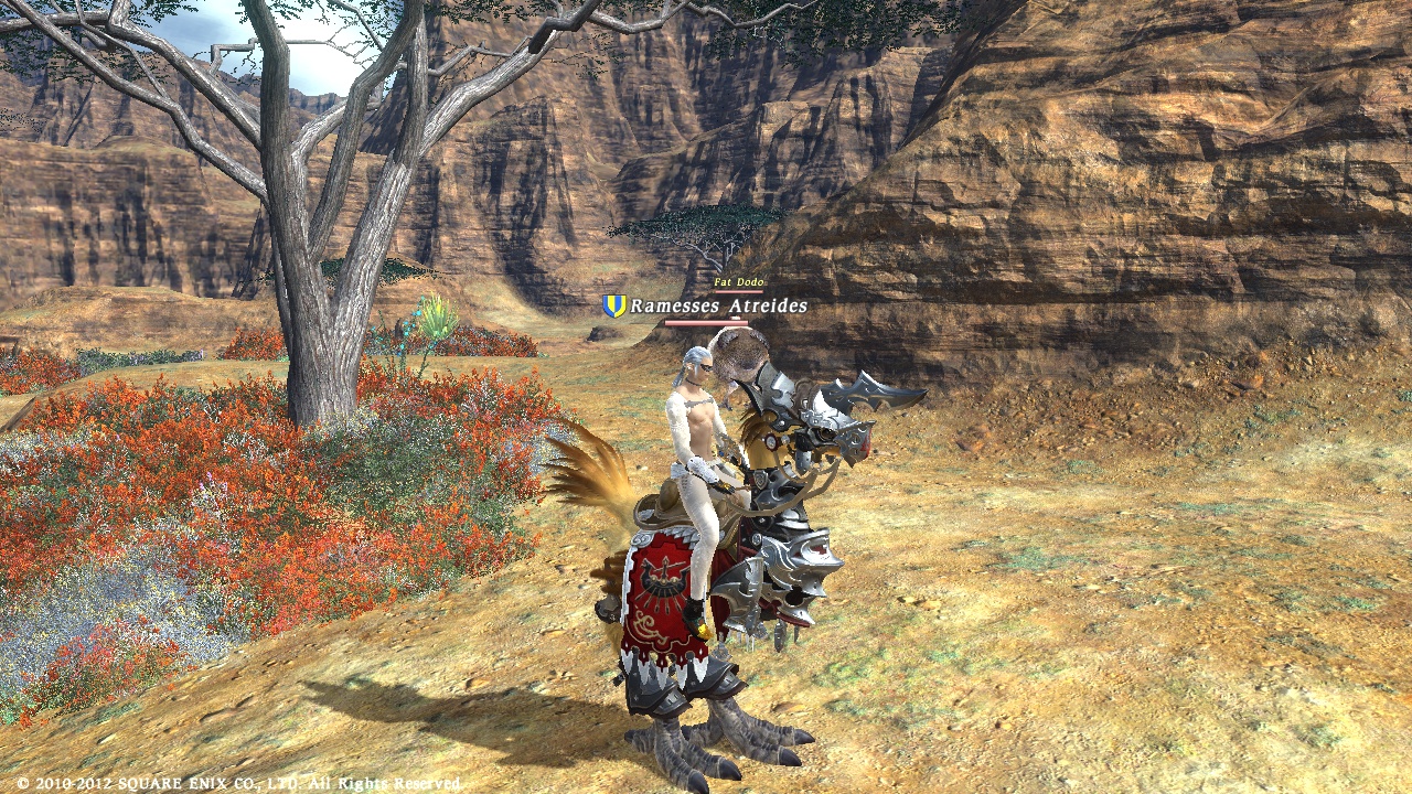 The Ishgardian: Dragoon Armour.... and the Chocobo Barding