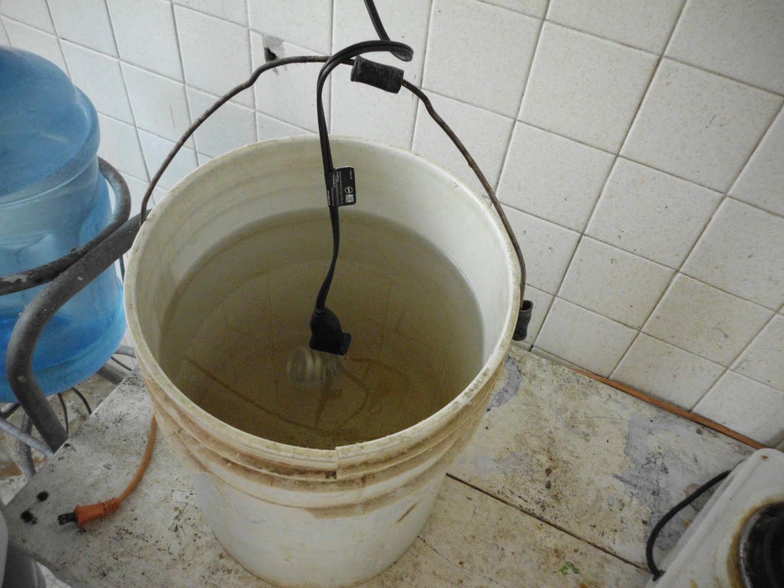 Villahermosa Mexico Mission: Living in Luxury-Bucket Showers Can't Be ...