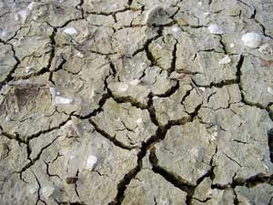 Civil Insta a Civil Engineering Blog: WHAT IS CLAYEY SOIL - TYPES AND ...