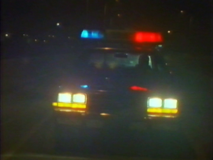 Vampire Cop (1990) / Cannibal Cop (2017) Reviews by RevTerry ...