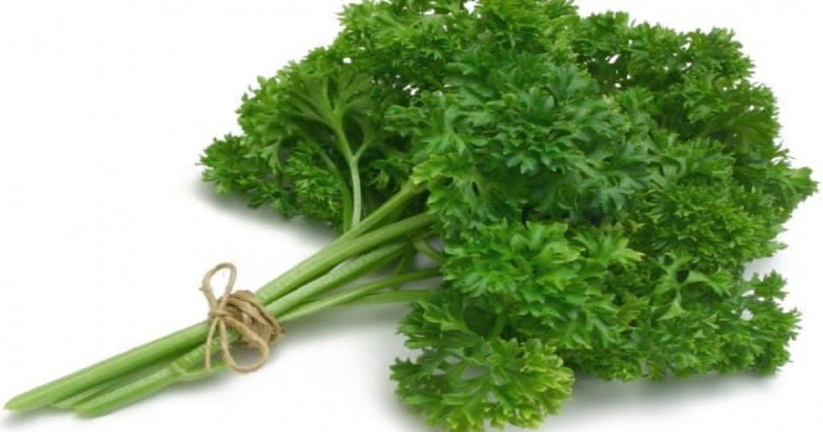 Persil - Bienfaits santé, conservation, préparation, goût ~ Sport et Santé