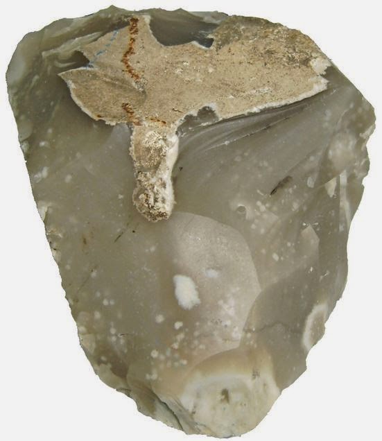 Potbank Dictionary - words and dialect of the Potteries: F