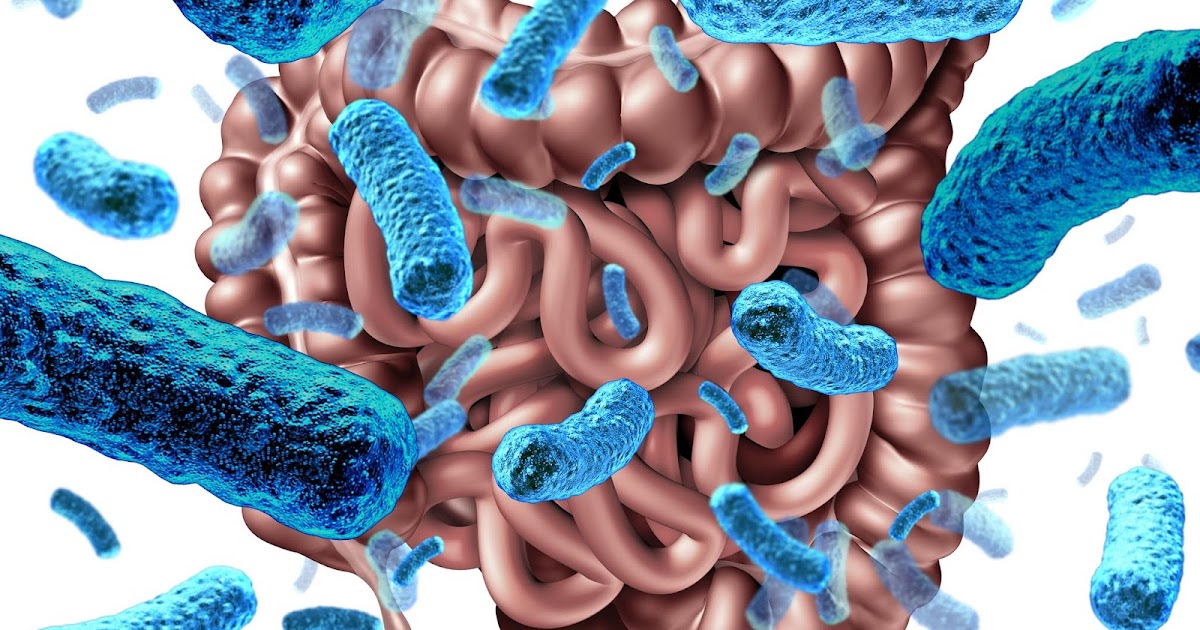 What are psychobiotics?