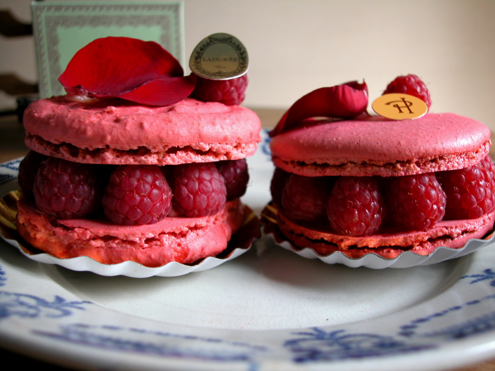 The Daily Postcard: Giant Raspberries