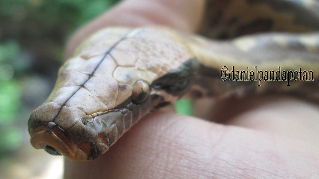 The Beauty of Nature