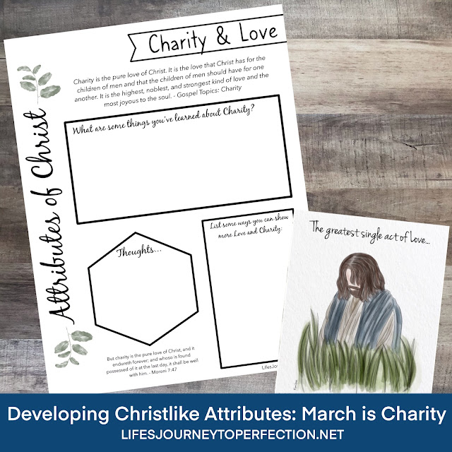 Life's Journey To Perfection: Spiritual Goal, A Year of Coming Unto ...