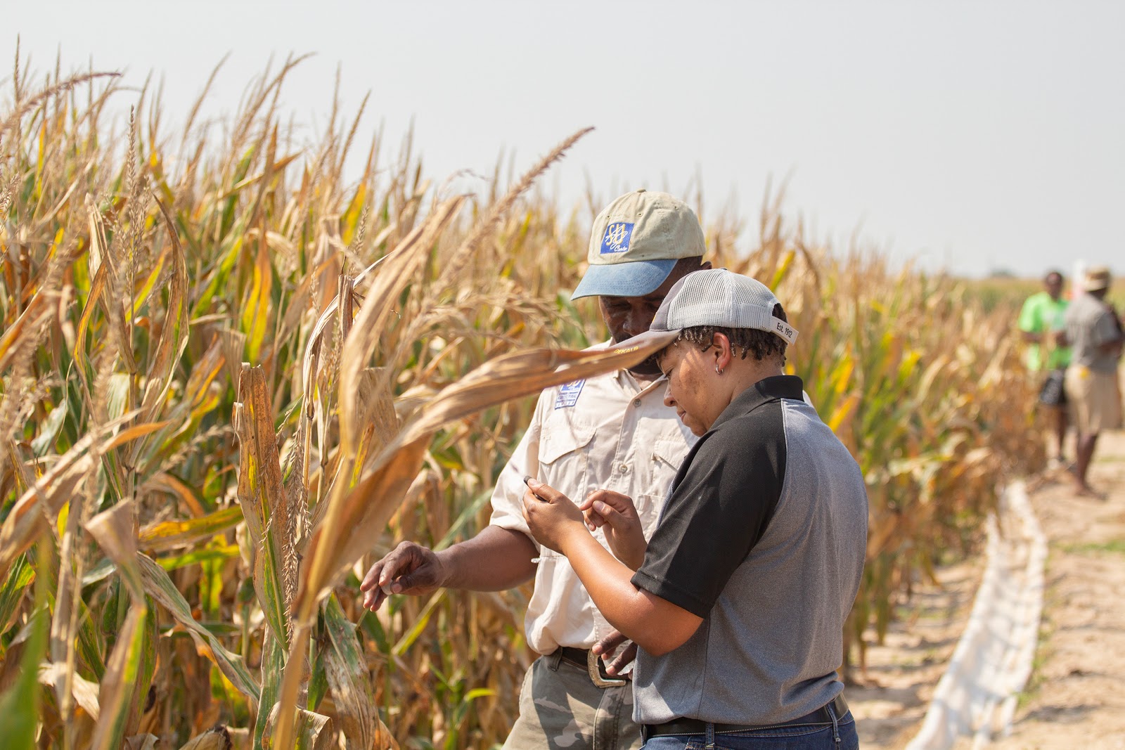 Southern University Ag Center and College of Agriculture: SU Ag Center ...