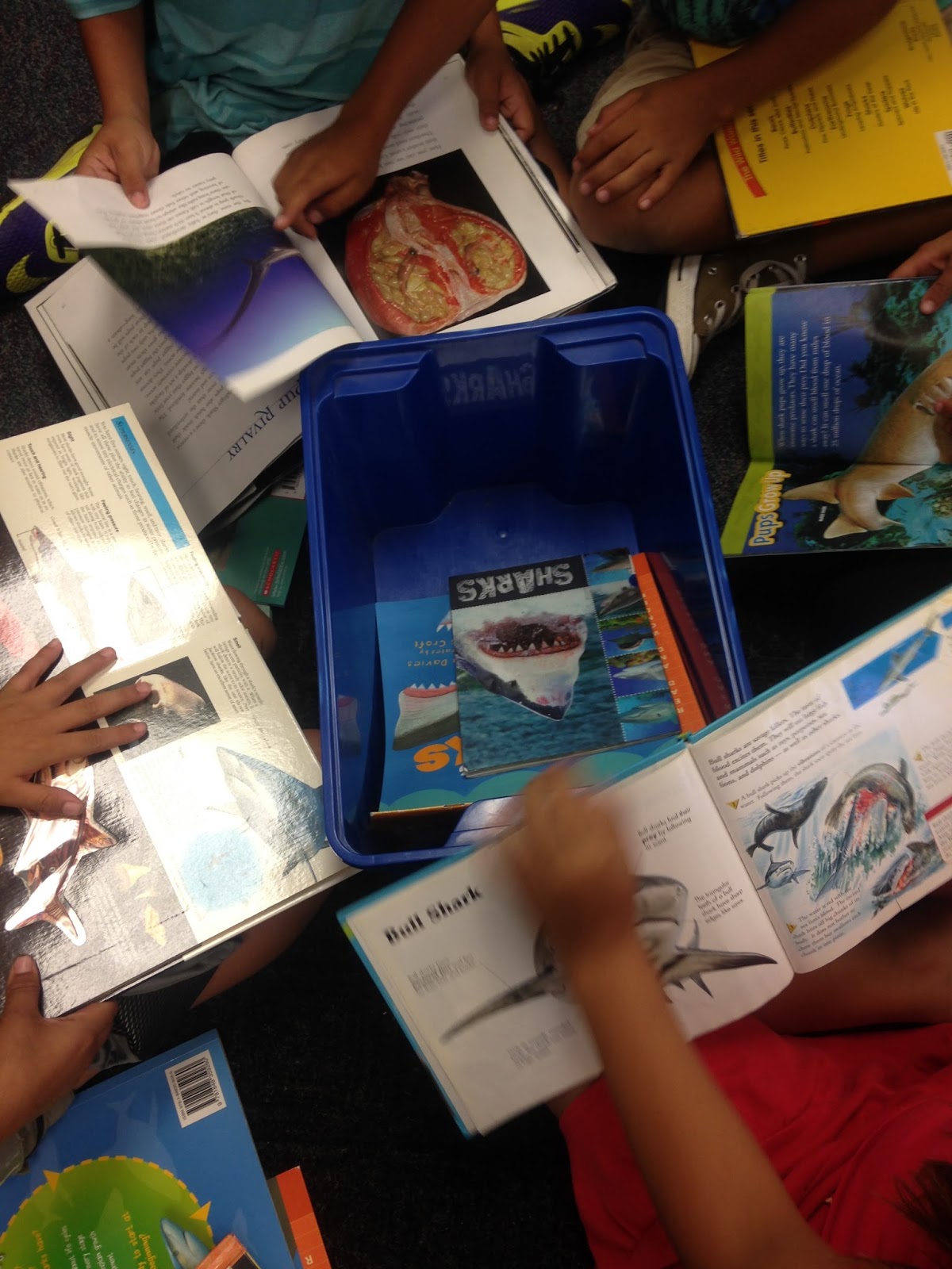 Primary Chalkboard: An Introduction to Inquiry in the Primary Grades