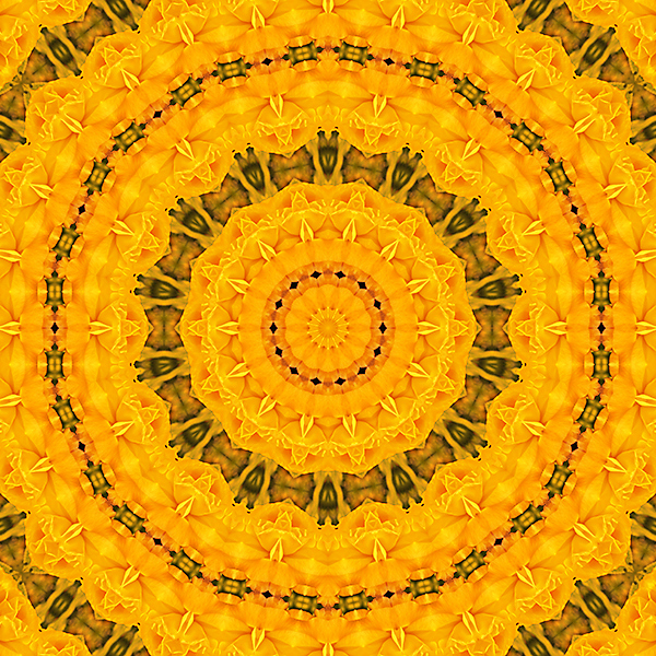 Healing With Ruth: Chakra Series, Part Three: Solar Plexus