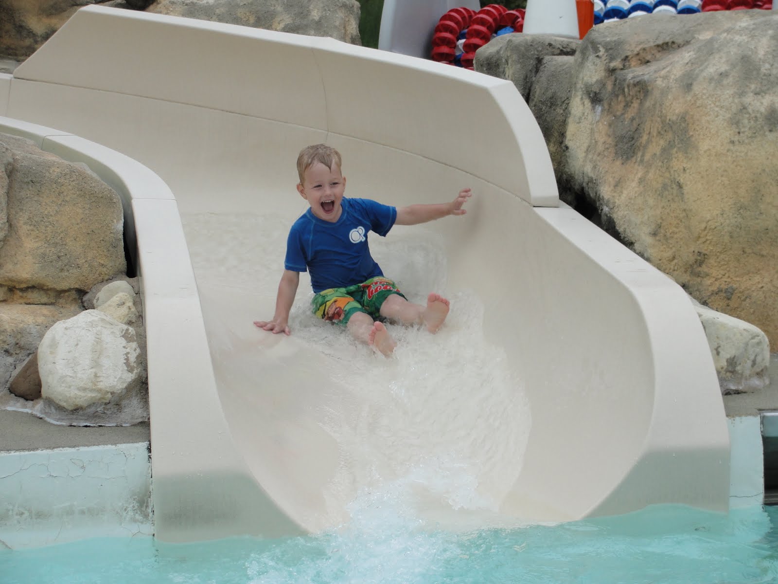 The Johnson Journey: Turtle Splash