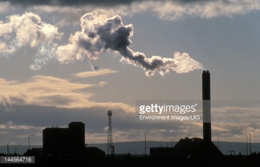 "Arafel": "The Great Dragon" Incineration (what you "need-to-know")...