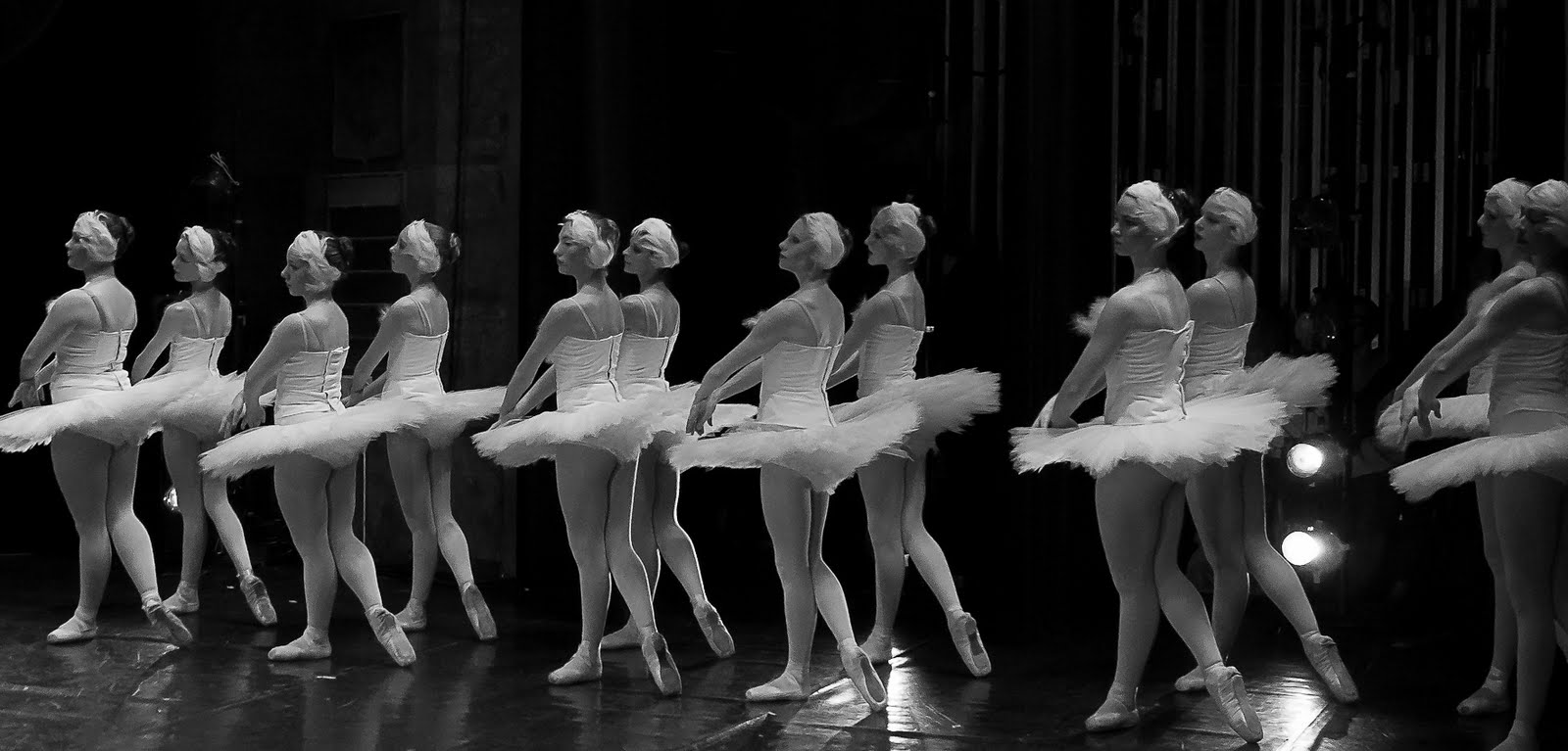 Never a Dull Moment: 22 Swans a dancing