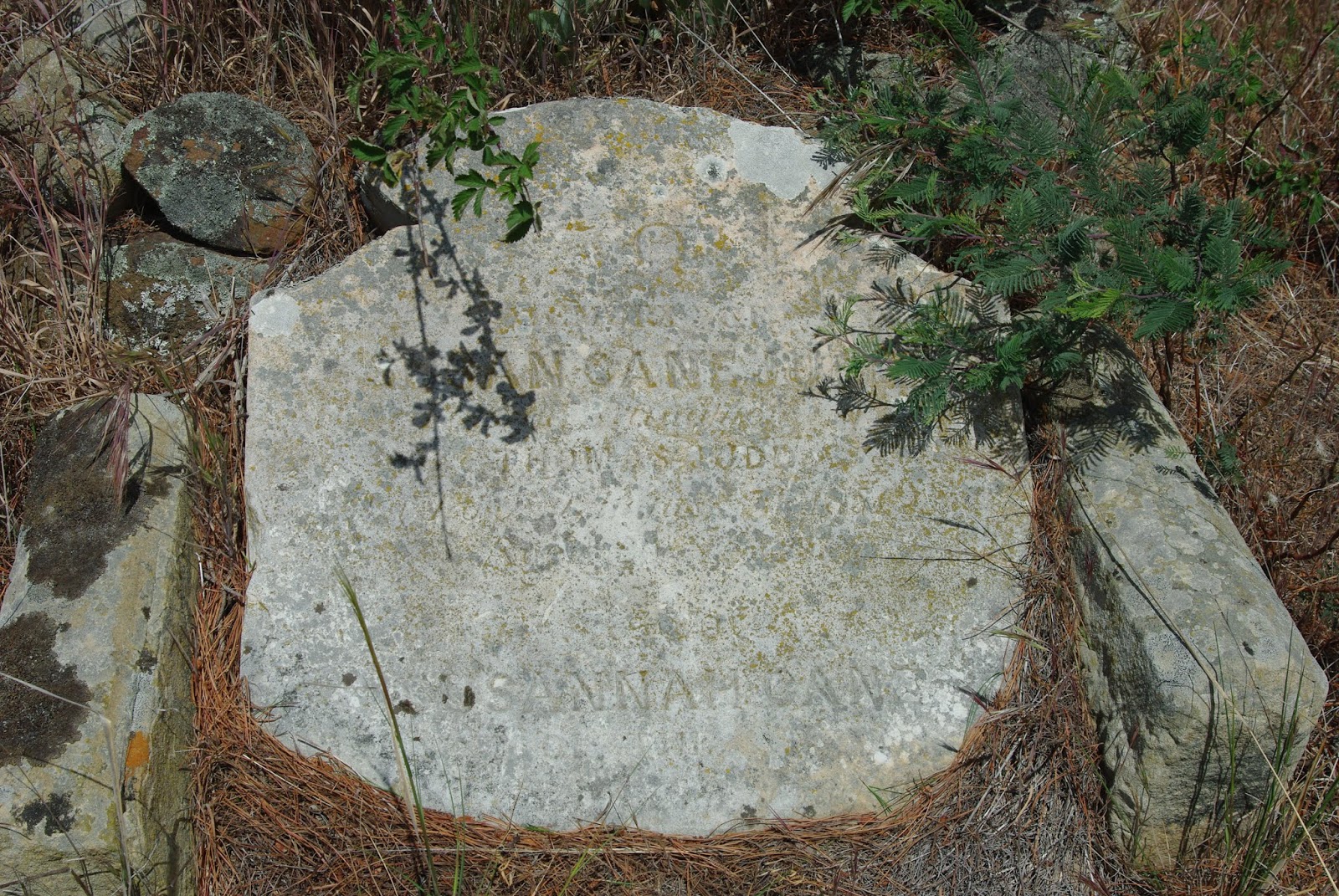 No. 598 - Lawitta - The Back River Methodist Chapel