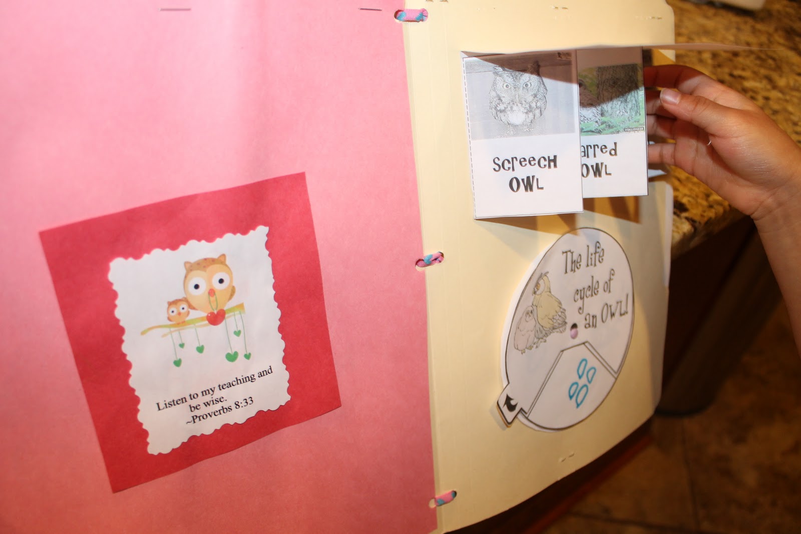 3G=Growing Godly Girlz: Our Owl Lessons {Owl Babies Lapbook}