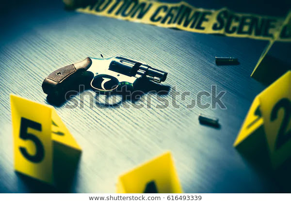 “SERIOUS AND HEINOUS CRIME” EXPLAINED BY BOMBAY HC