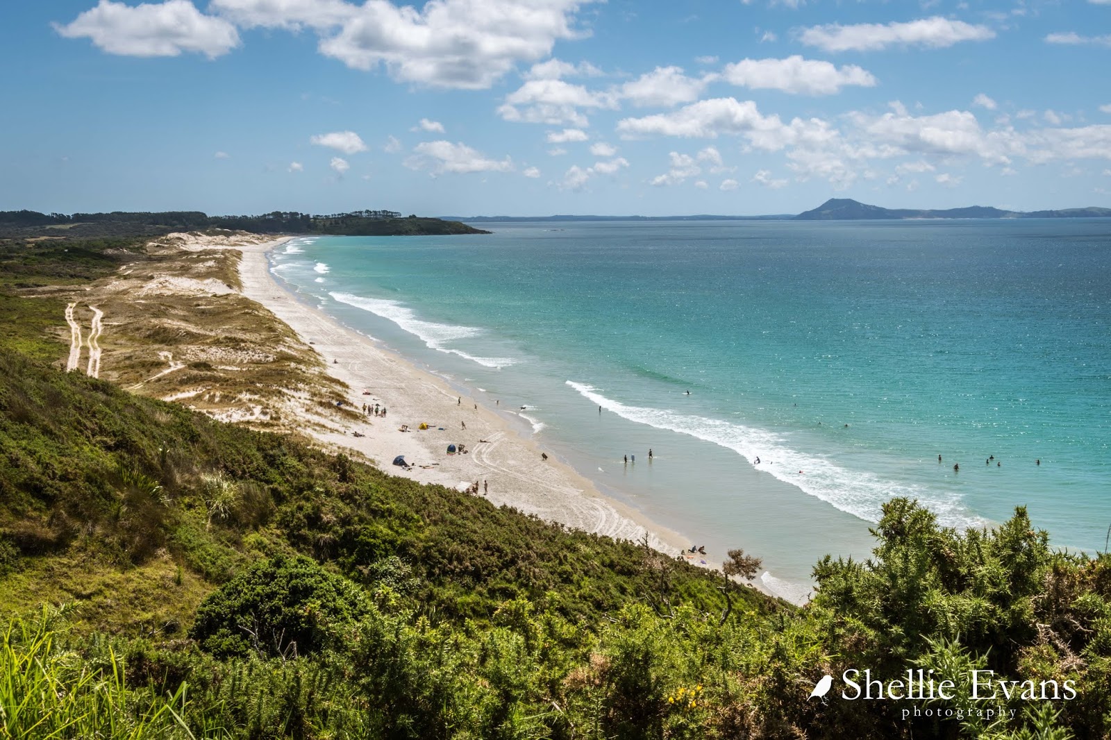 Two Go Tiki Touring: Weather Woes for the Holidays- Far North