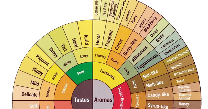 Luwak Coffee: Bagaimana cara untuk menentukan rasa kopi luwak