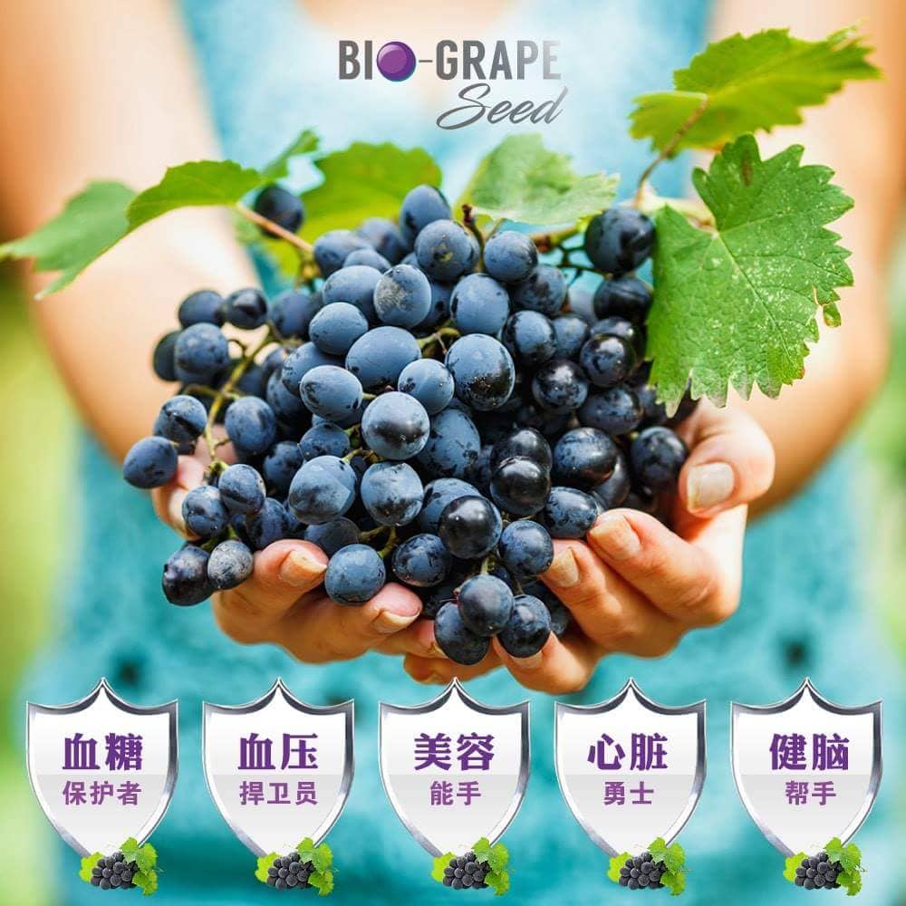 [CHI] 葡萄籽