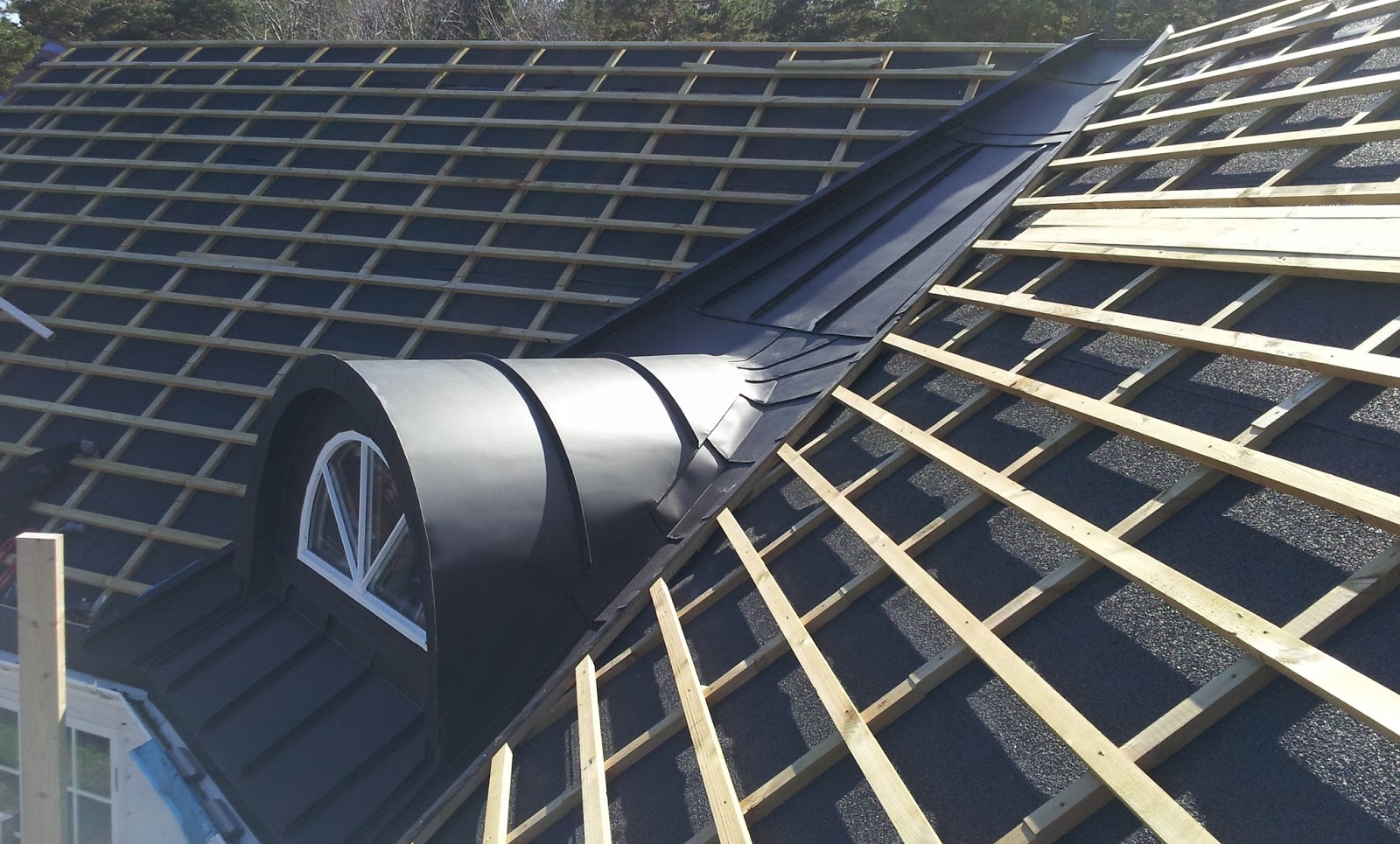 Liens blikkblogg: Sinktekking av buet kvist