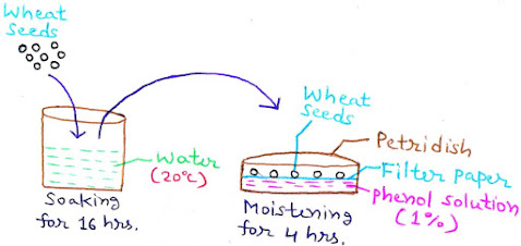 Varietal Identification through Grow Out Test and Electrophoresis ...