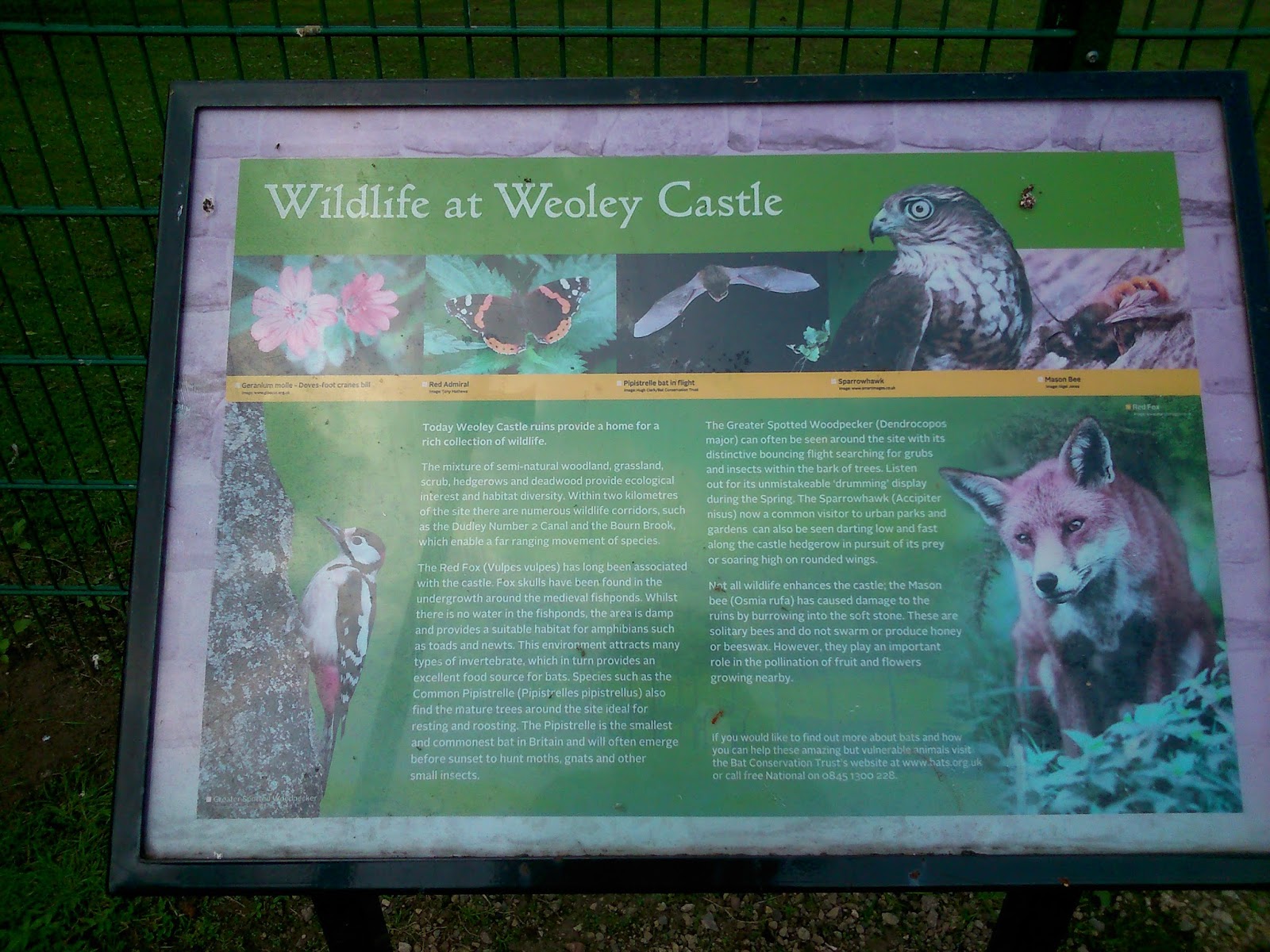 A Brummie's Guide to Birmingham: Weoley Castle