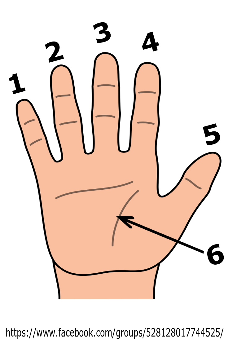 learn more about ( Hand vocabulary ) phrasal verbs and idioms