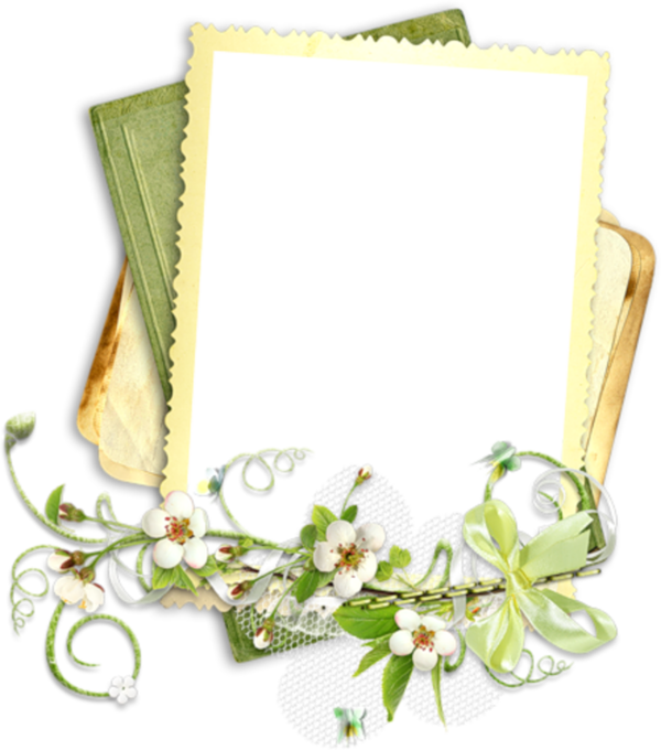 ForgetMeNot: spring frames
