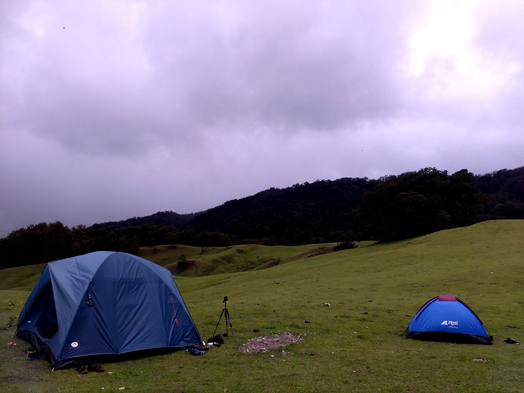 Pesona NTT: Indahnya Gunung Mutis