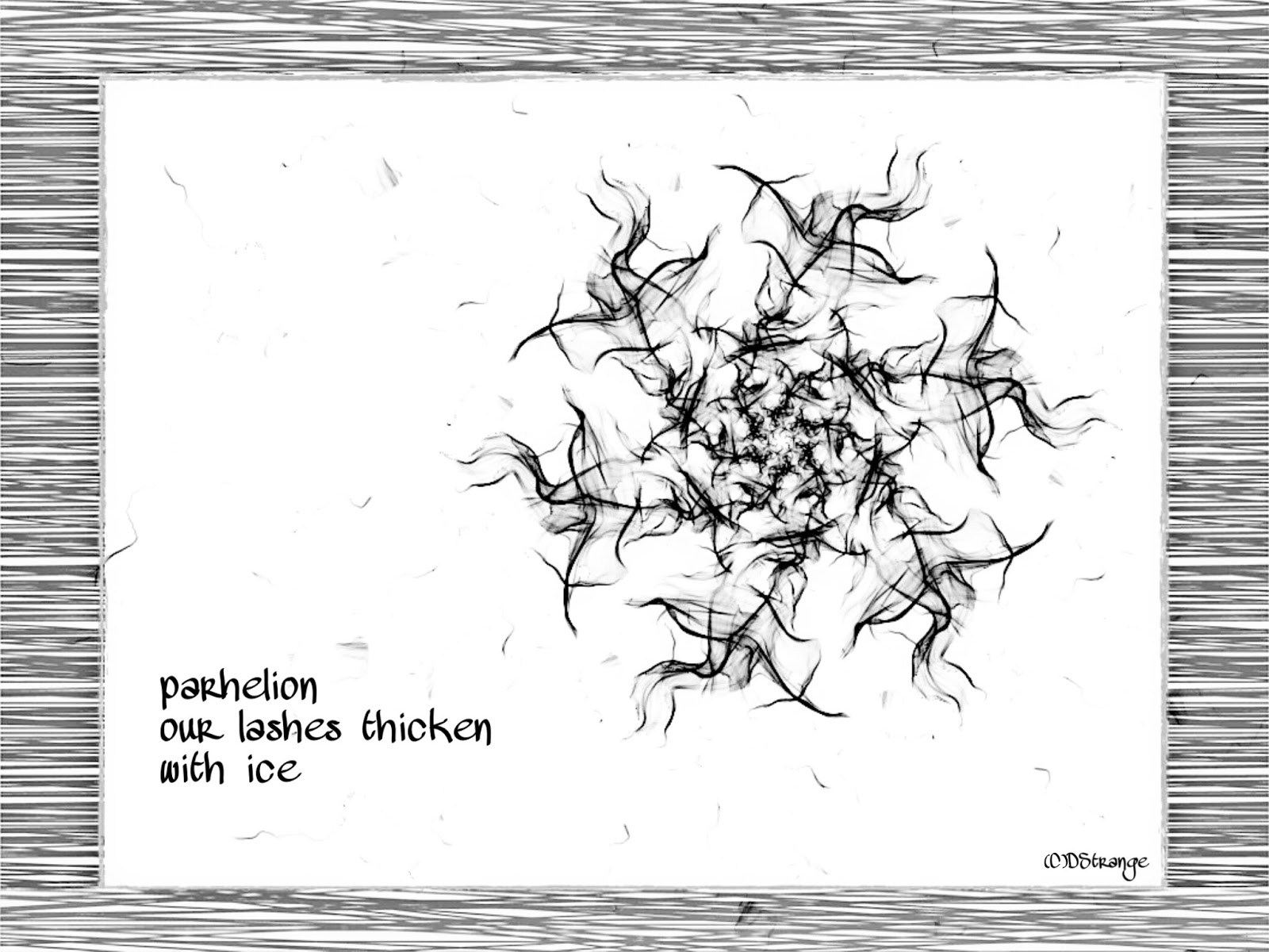 Warp and Weft ~ Images and Words: Our Best Haiga: Black & White Haiga ...