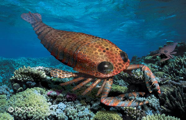 Los dinosaurios y la vida prehistórica: LOS EURIPTÉRIDOS