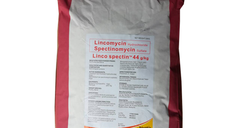 Linco-Spectin 44 Premix phòng ngừa và trị viêm phổi | Tin tức Chăn Nuôi