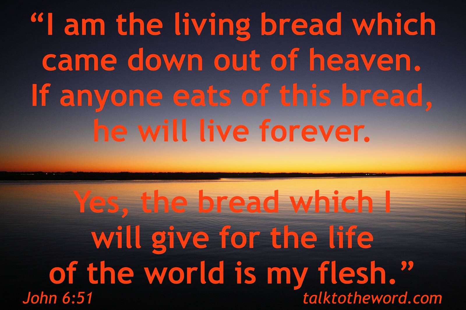John 6 48 51