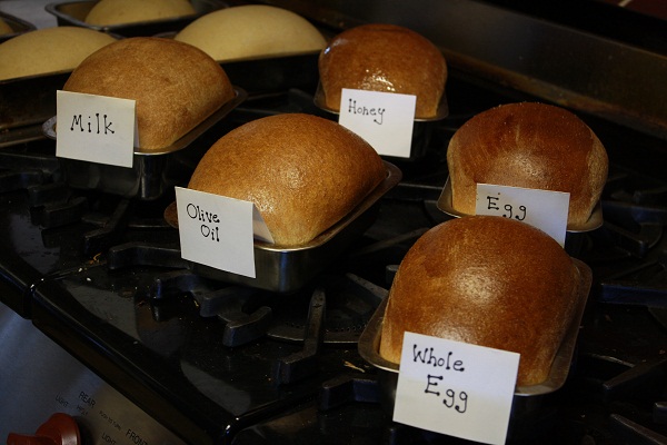 Paula's Bread: Glazes for Perfect Bread