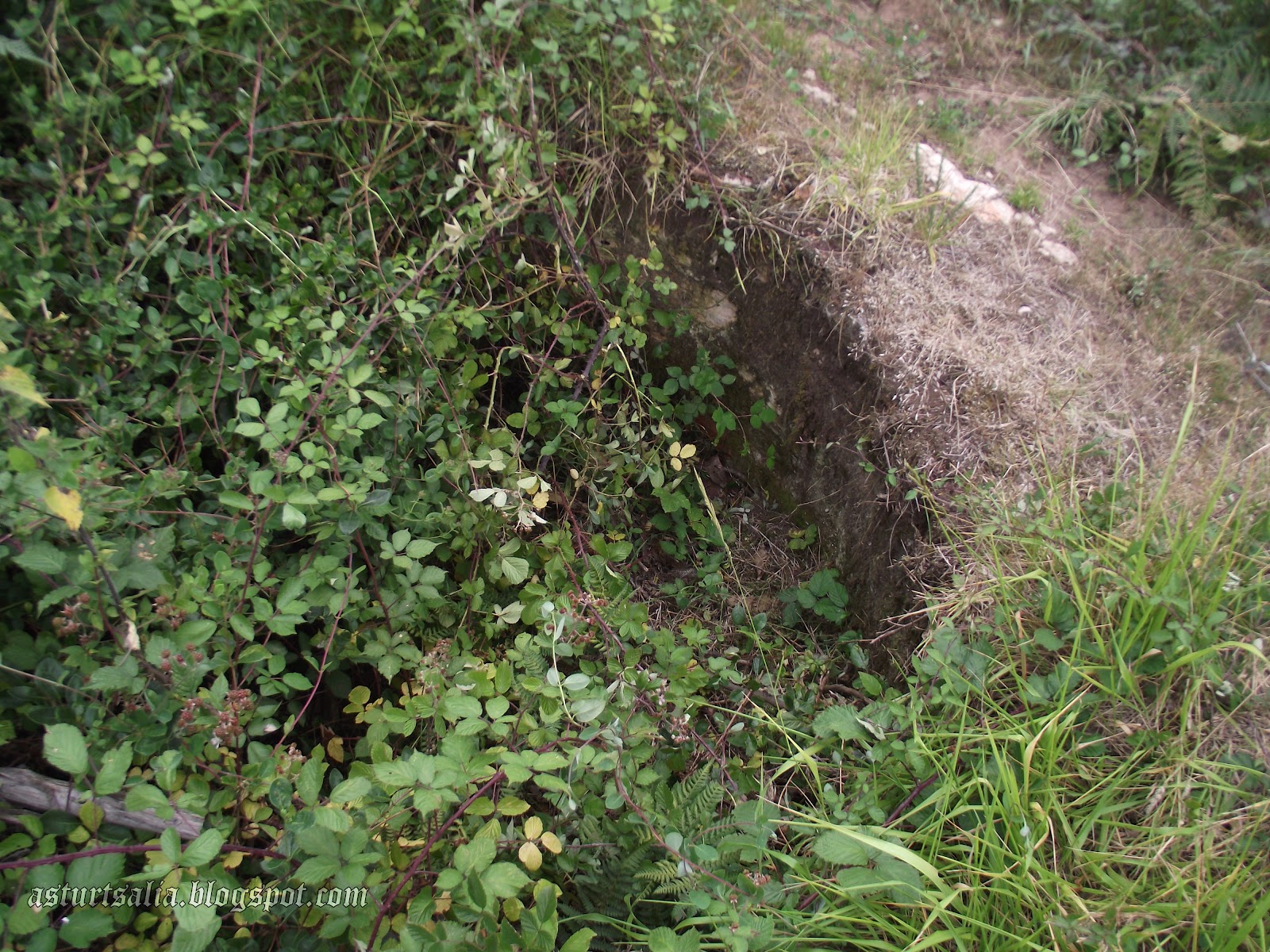 Asturtsalia: Caminando por el monte de La Trecha