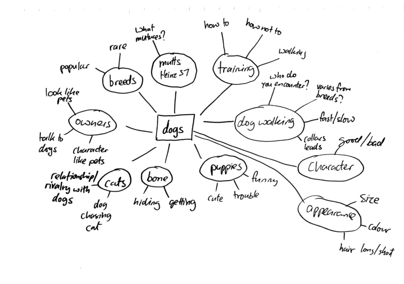Fun and Learning with 8th Graders: How to write a paragraph