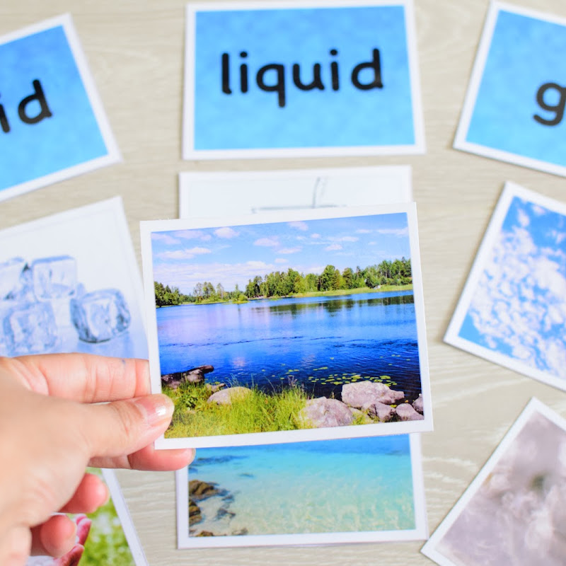 FREE Properties of Water Sorting Cards | The Pinay Homeschooler